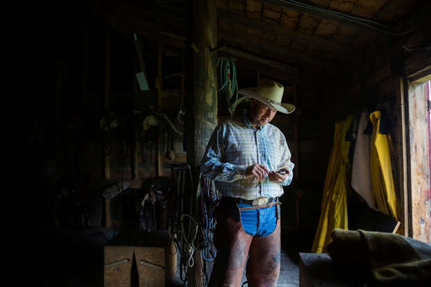 Revolutionizing Cattle Management: The Advantages Of Using Technology ...